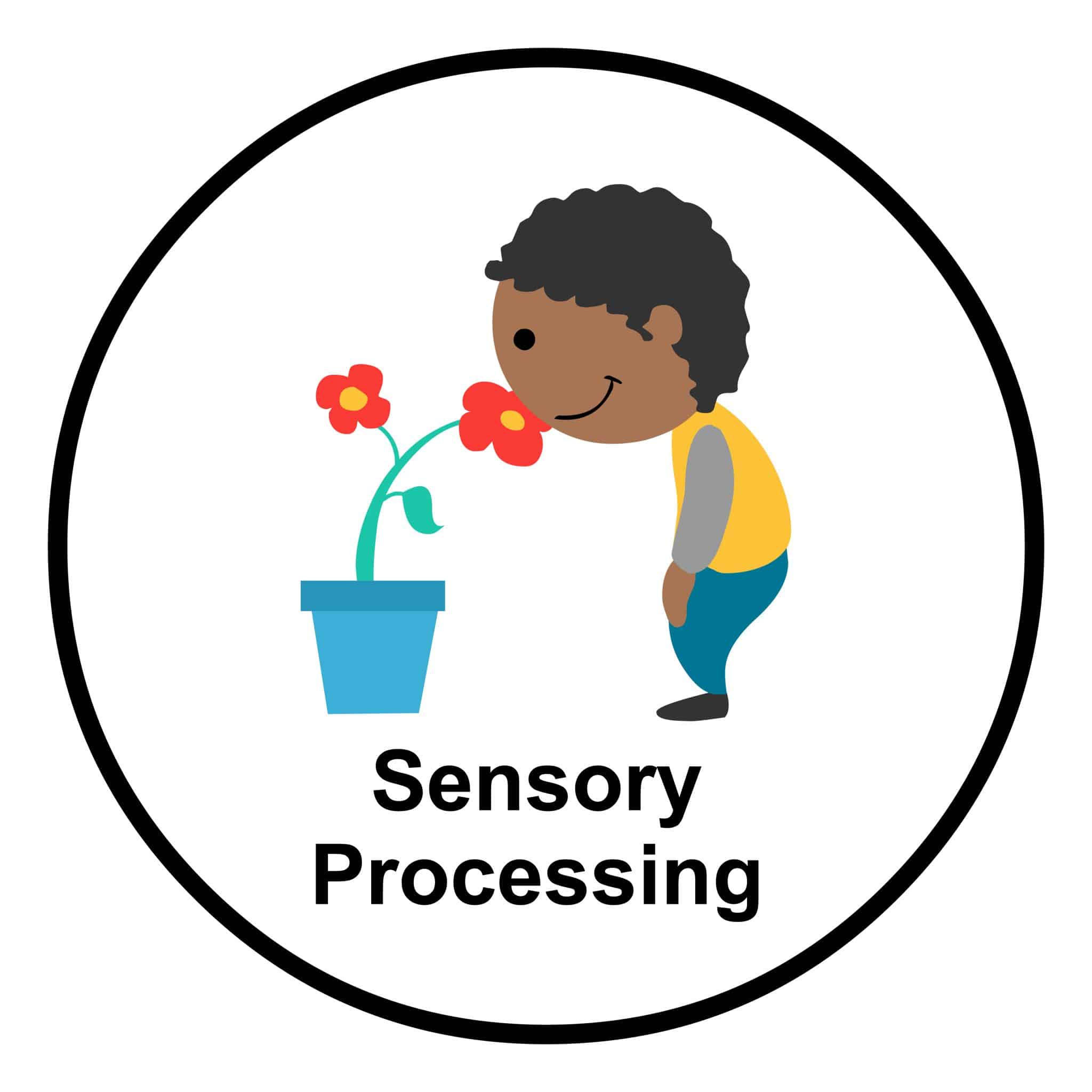 Sensory Processing - What is it and What does it mean?